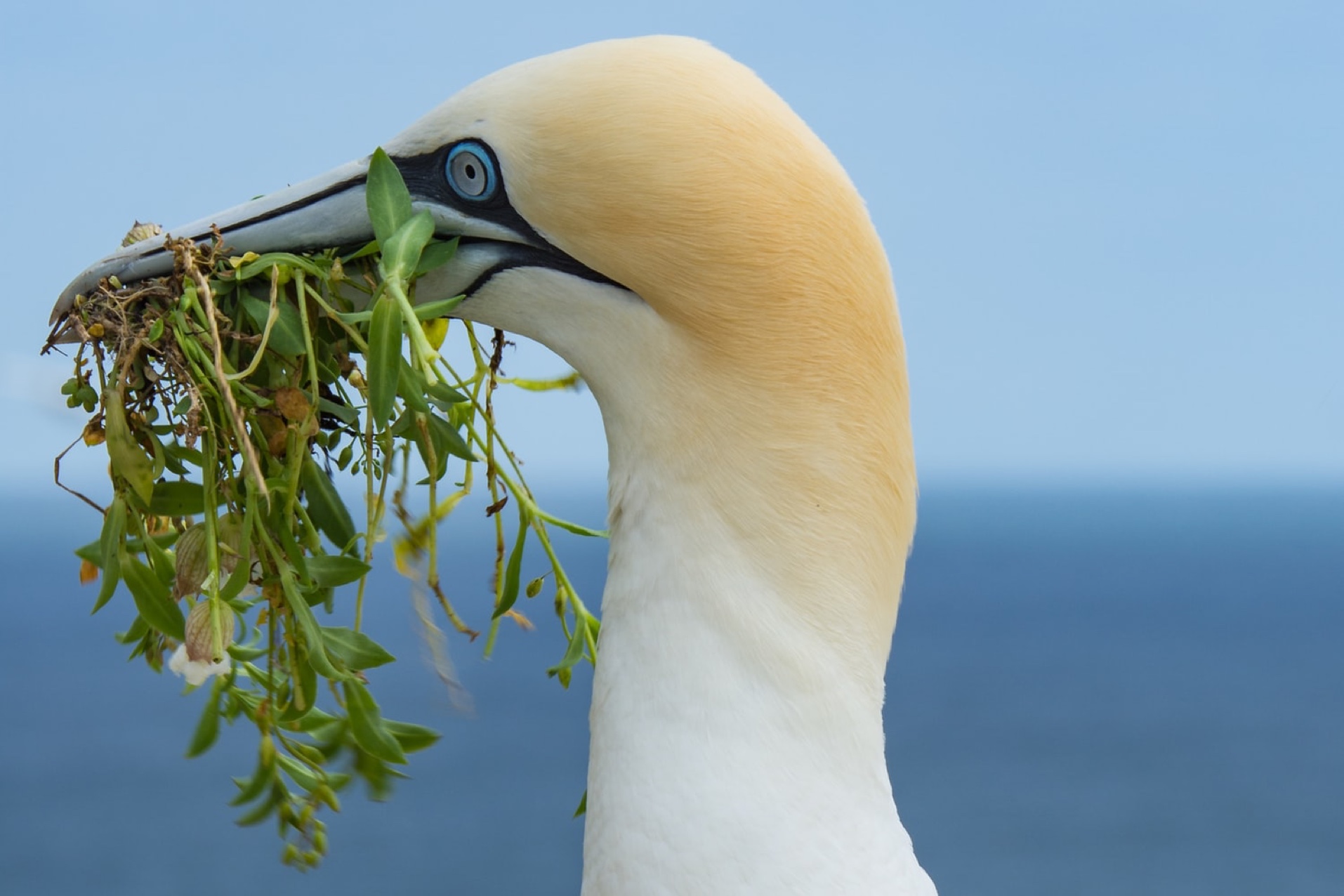 Marine Data Exchange